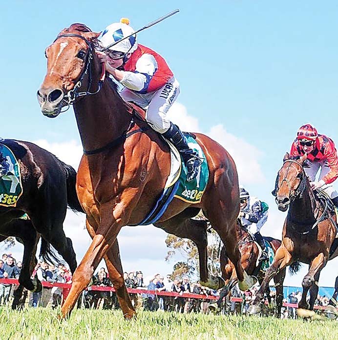 Country Cups captured by Rawiller and McGill - MPNEWSMPNEWS